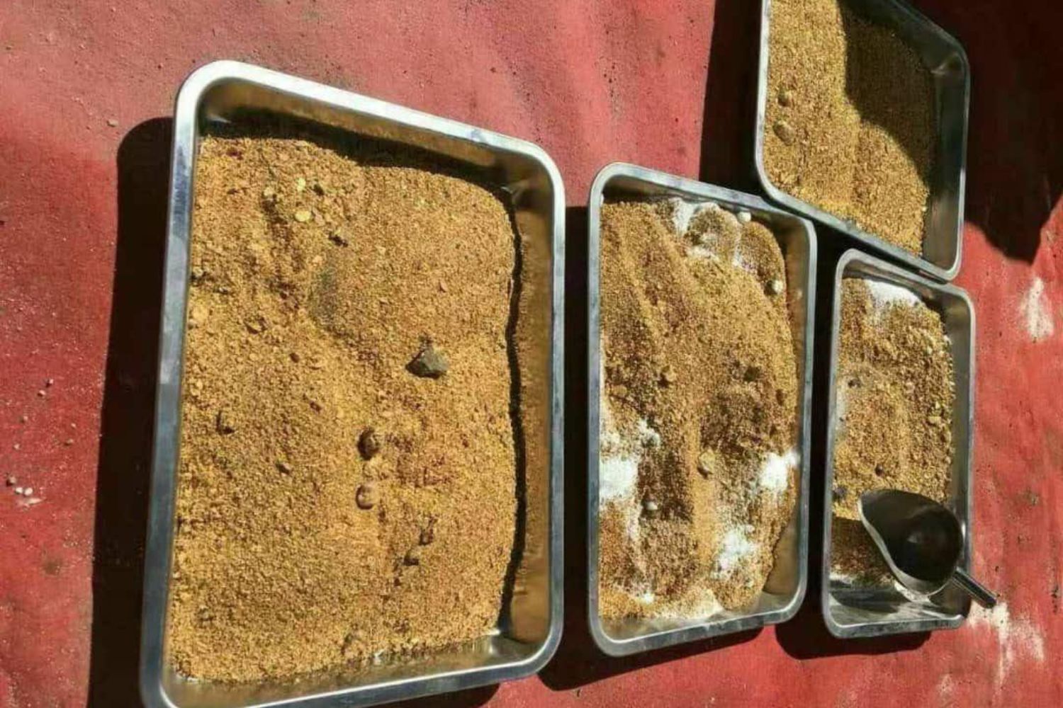 Buy Gold Dust from Africa Trusted Dealers at the Best Rates